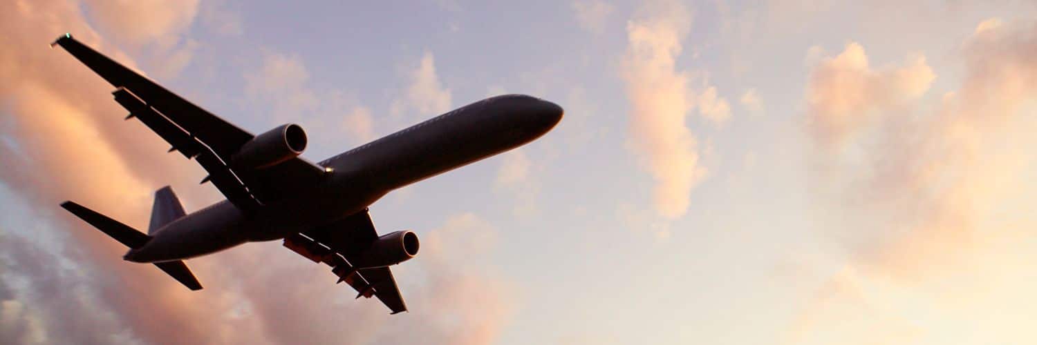 What Is the International Air Transport Association (IATA ...